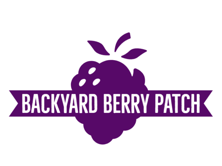 Brandywine Raspberry: An Everbearing Purple Raspberry Variety ...